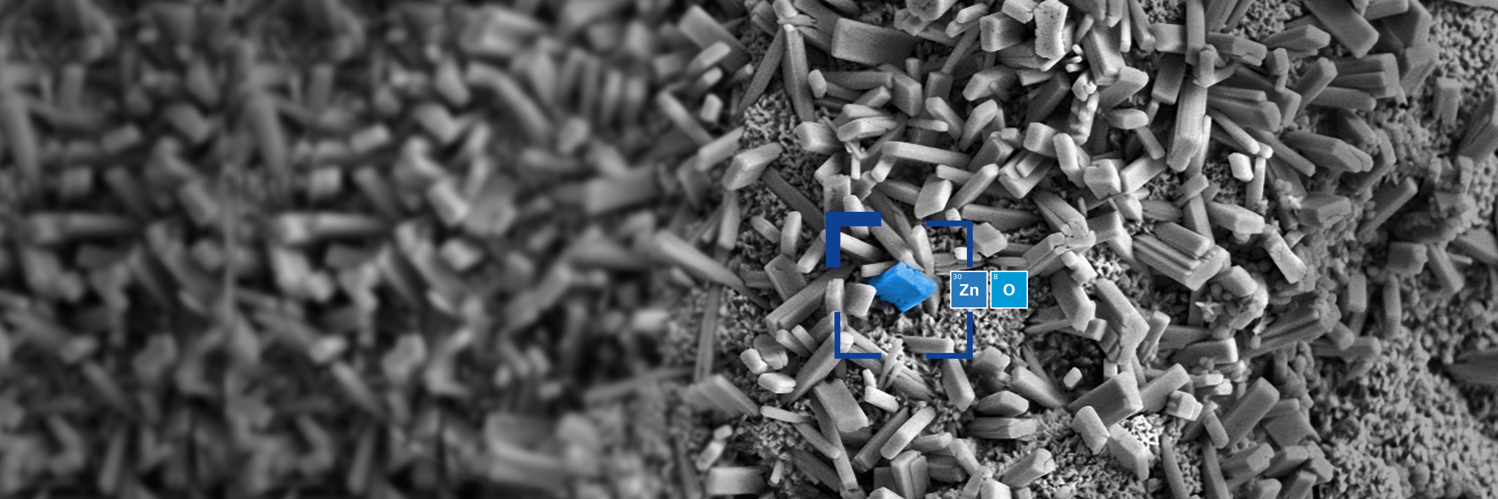 산업용 주사 전자 현미경 ZEISS, SEM