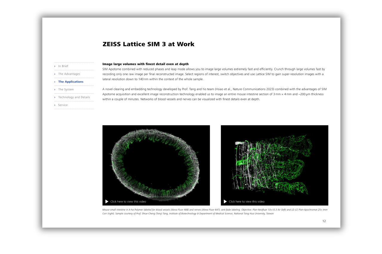 *New* Lattice SIM Family