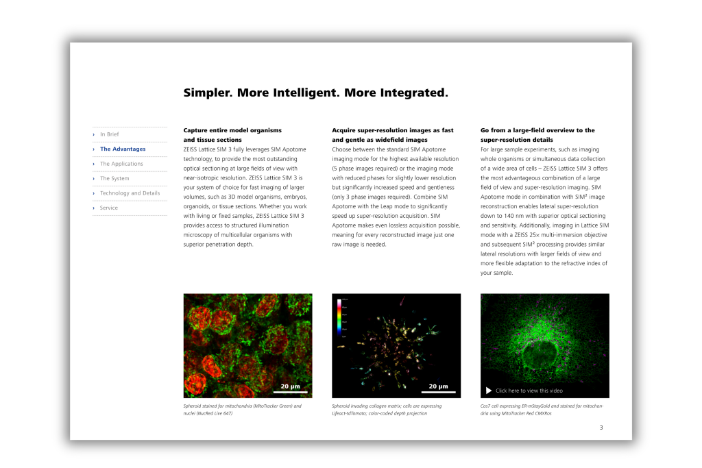 *New* Lattice SIM Family