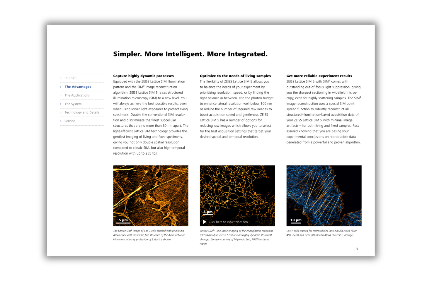 *New* Lattice SIM Family