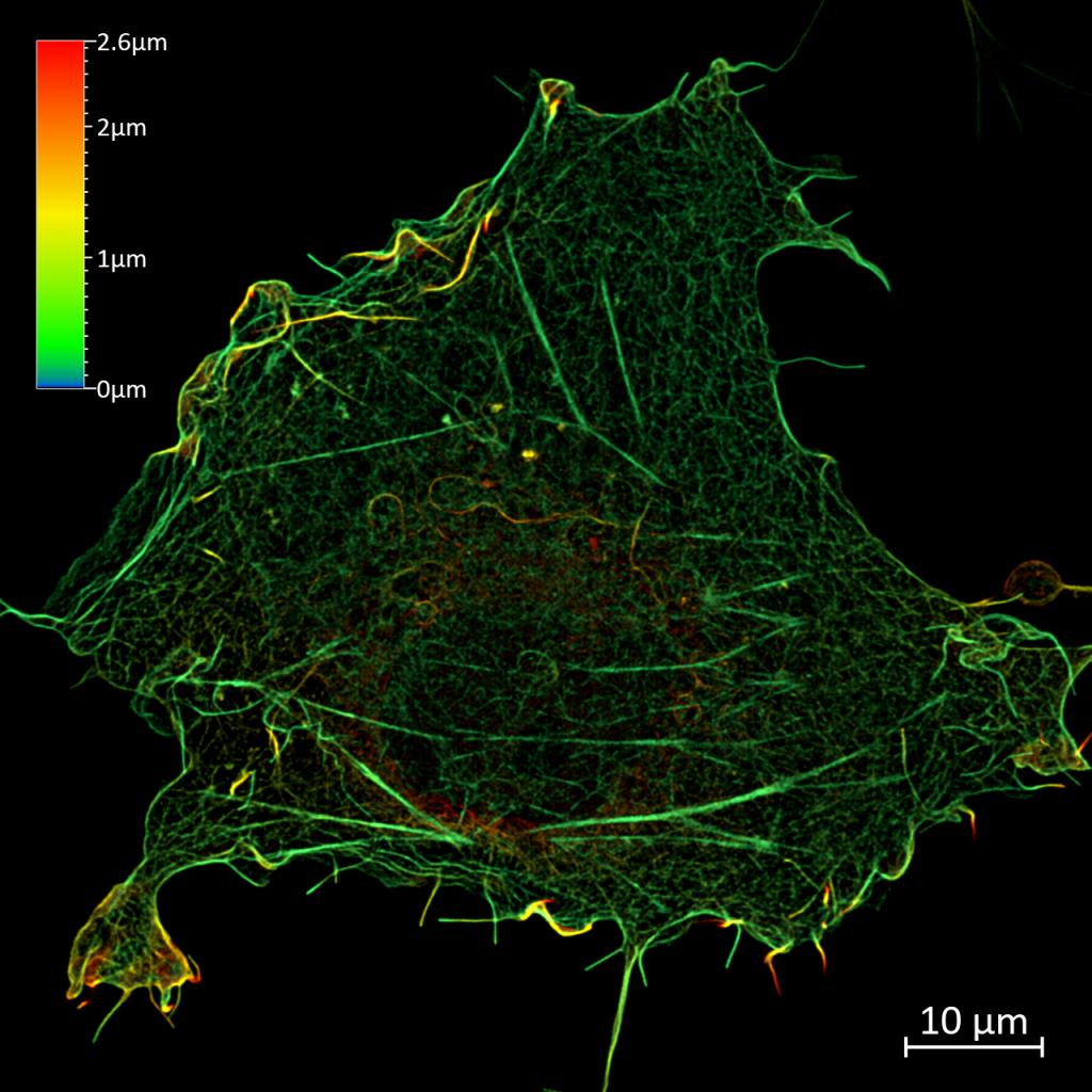*New* Lattice SIM Family
