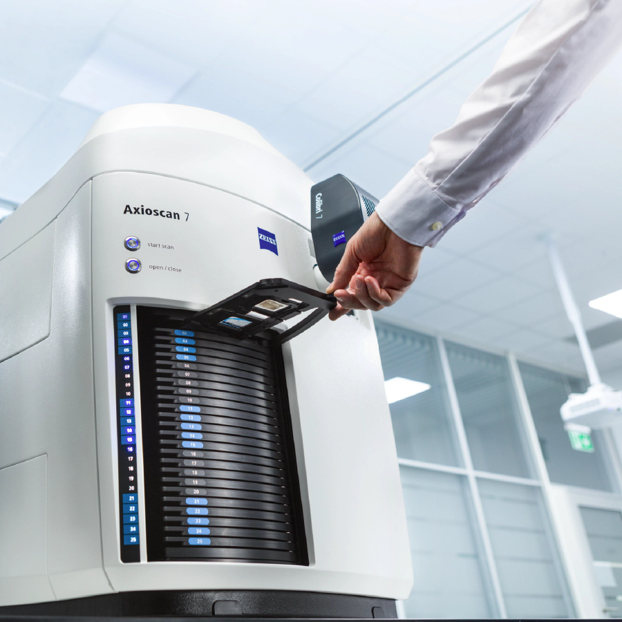 ZEISS 자동화 디지털 편광 이미징 워크샵