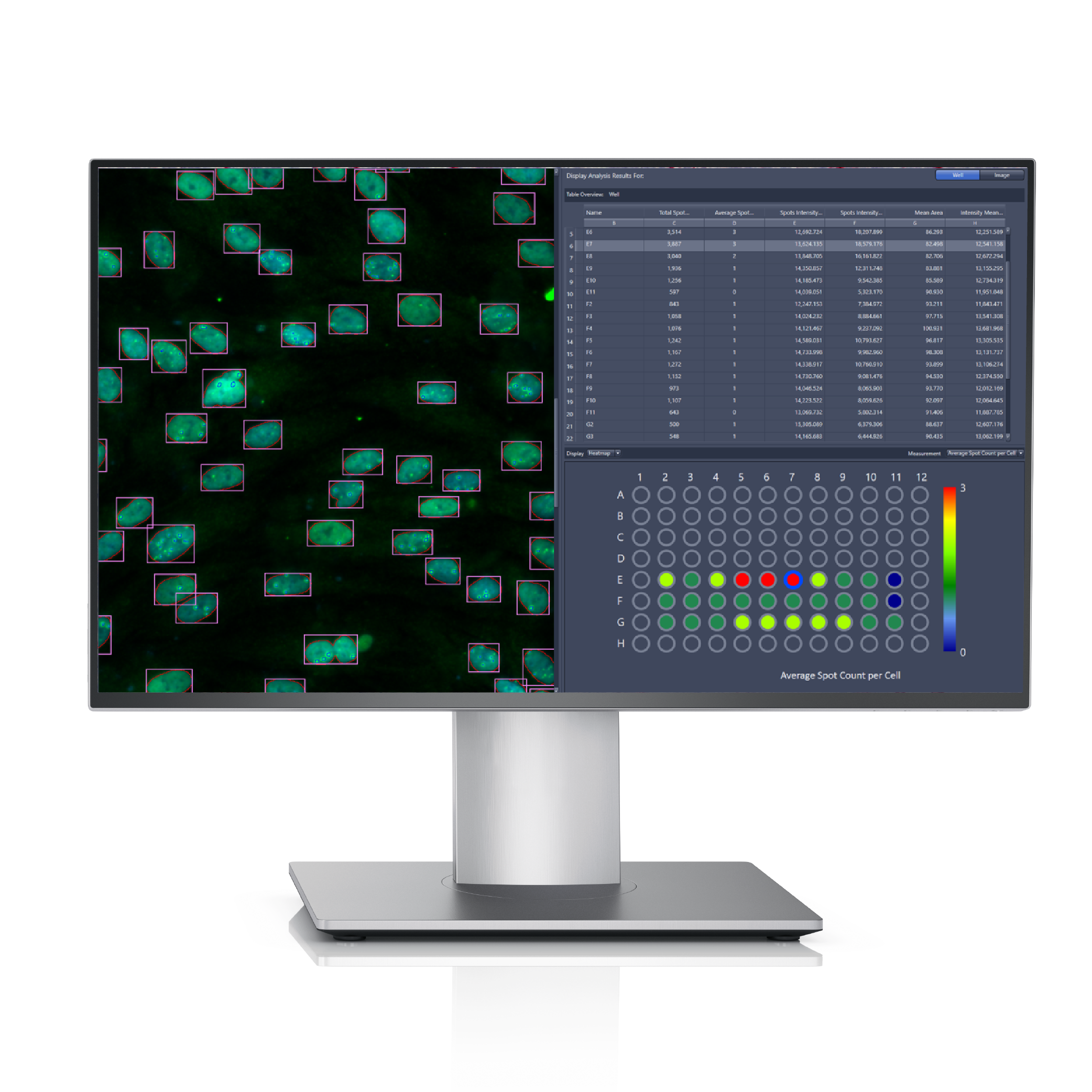 ZEISS Image Analysis Academy