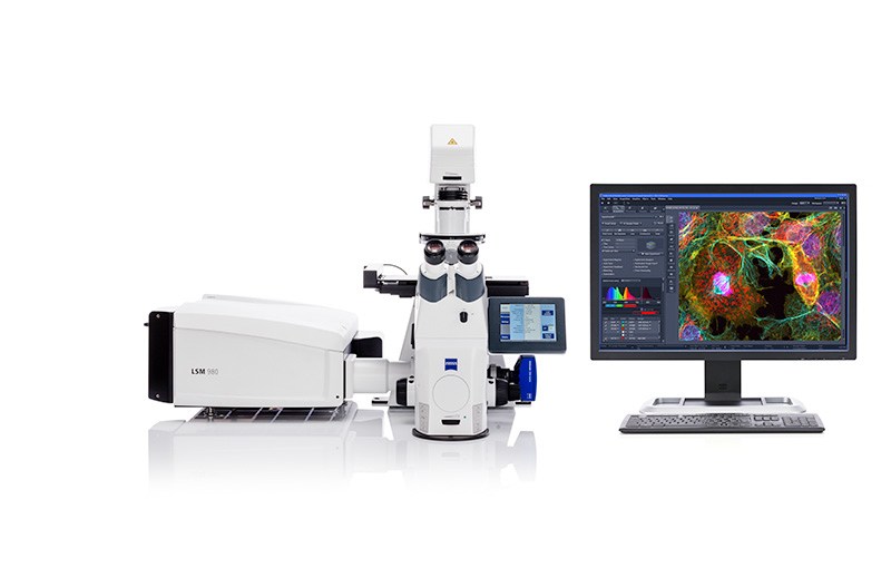 ZEISS Advanced Imaging Workshop｜성균관대학교