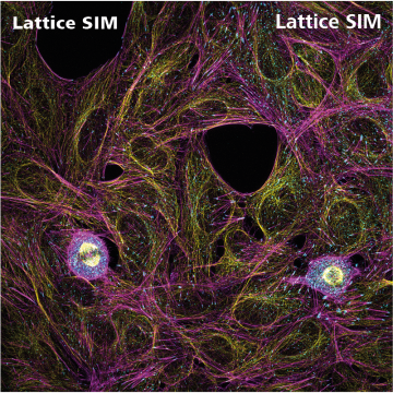 ZEISS Lattice SIM Family 런칭 웨비나